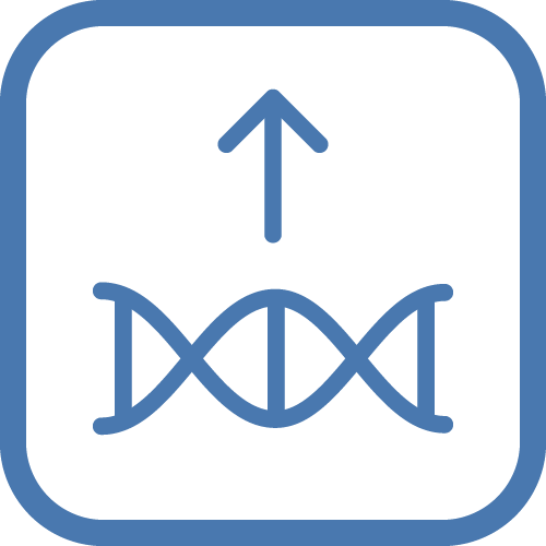 Autosomale DNA-testen – DNA-databank.com